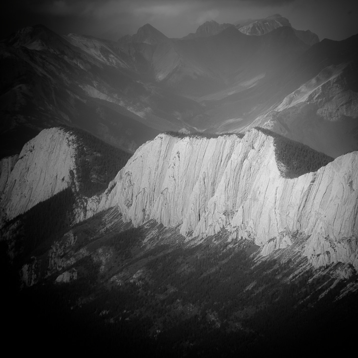 Rocky Mountain Vignettes by Jonathan Martin-DeMoor - Silvicola borealis ...